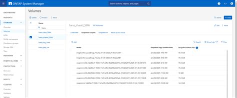 Snapcenter Non Data Volumes