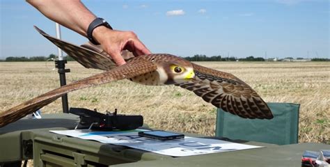 As Gatwick Grapples With Drones Canadian Military Eyes Ways To Drone Proof Airspace Cbc News