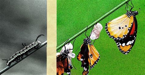 Chris Simon On Linkedin The Best Way To Unlock Potential Dont Focus