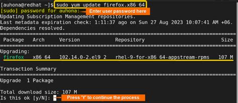 How To Update A Specific Package In Rhel Using Yum 2 Cases Linuxsimply