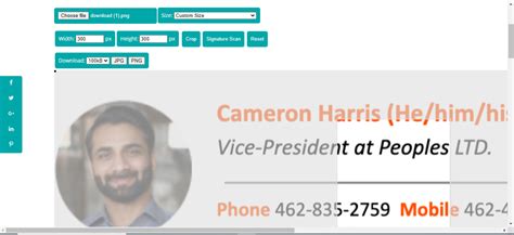 Resize Signature In 3 Steps Best Online Tools Recommendations