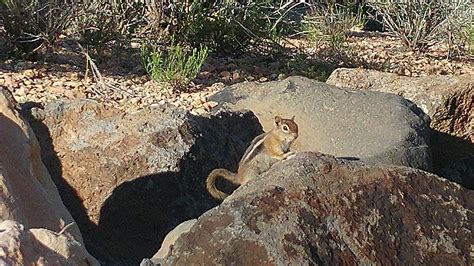 Bryce Canyon Supercharged Science