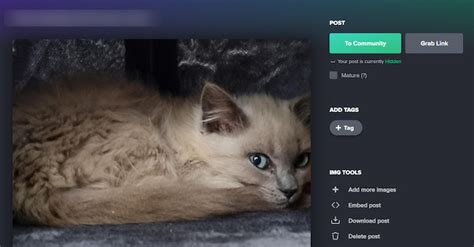 How To Bypass Discord File Size Limit [experts Guide 2024]