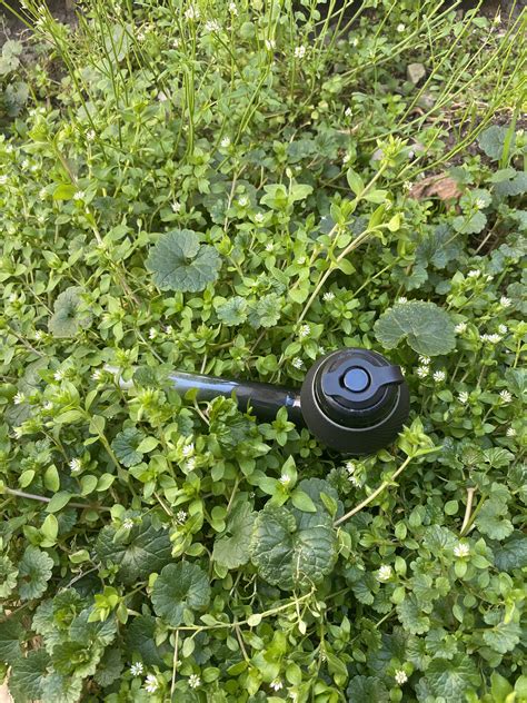 Puffco Proxy Rpuffcoproxy Puffco Proxy Rpuffcoproxy