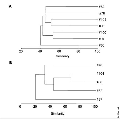Cluster Analysis Of 16s Rrna Based T Rflp Patterns Of Geobacteraceae Download High Quality