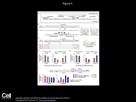 Volume Issue Pages E April Ppt Download