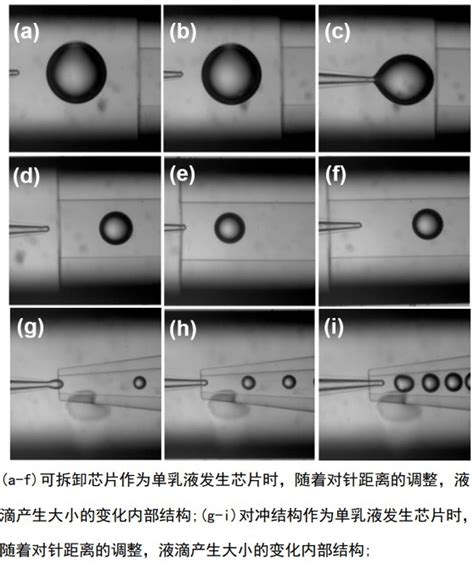 可拆卸同轴玻璃管芯片 自主更换毛细管 双乳液滴和单重乳液滴制备 微流控双重乳液滴 双包裹液滴制备 泰初科技（天津）有限公司