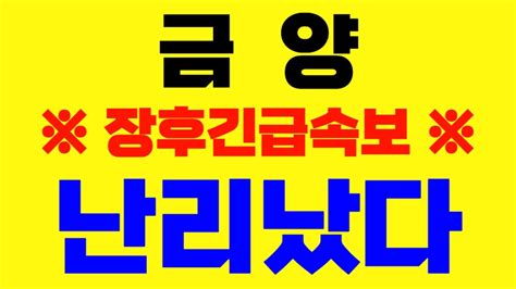 금양 주가전망 ※ 장후긴급속보 ※ 난리났다 잭팟 Youtube