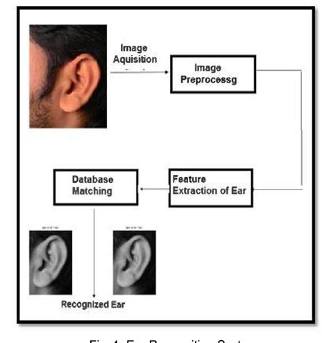 Figure 2 From A Method Of Ear Feature Extraction For Ear Biometrics Using Matlab Semantic Scholar