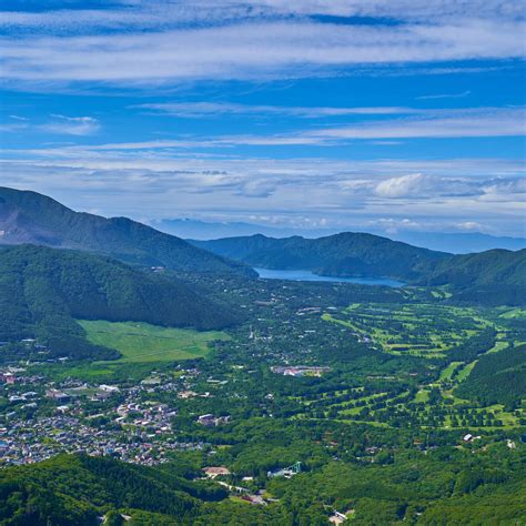 前立腺マッサージをしすぎると勃起しなくなるって本当？【専門医が回答！男性の体qanda㉑】 Yoi（ヨイ） 心・体・性のウェルネスメディア