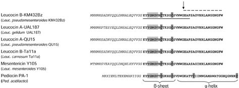 Alignment Of Amino Acid Sequences Of Class Iia Bacteriocin Precursors