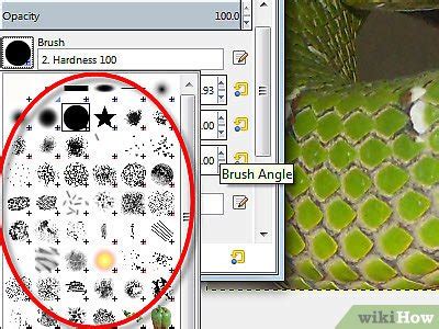 How To Use The Gimp Eraser Tool To Remove An Image Background