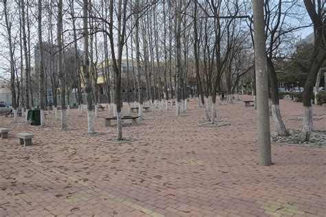 浮山校区西院休闲角 青岛大学基建处