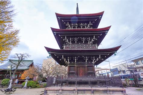 高山飛驒絕美的巨大千年銀杏樹美不勝收飛驒國分寺銀杏樹 三重塔美景 緹雅瑪 美食旅遊趣