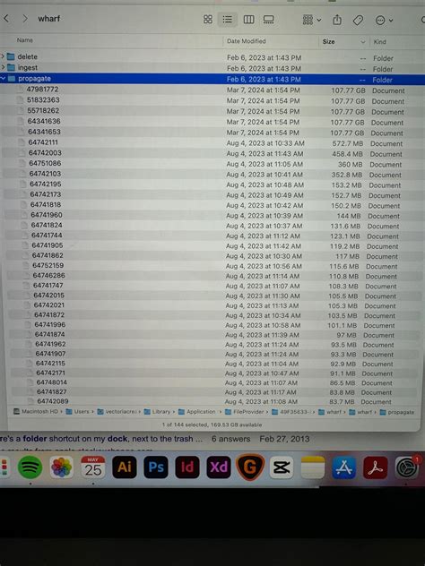 I Found These Files On My Computer Its Under Library Application