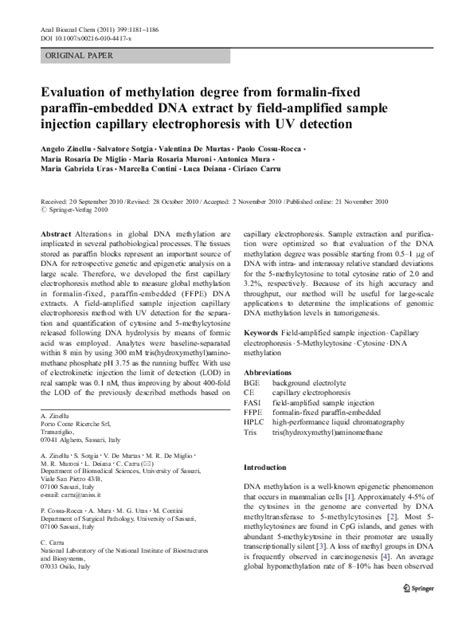 Pdf Evaluation Of Methylation Degree From Formalin Fixed Paraffin