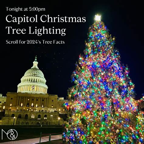 Susie Patrick Compass Susiepatrickcompass • Instagram Photos And