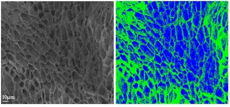 Adsorption Selective De Polluants Msc