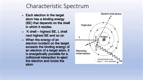 Synthesis Of Zno Nanoparticles Using Wet Chemical Method And Its Characterization Using Xrd And