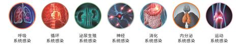 病原微生物高通量基因测序mngs 【探因医学】