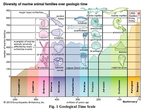 Ordovician Period Land Life
