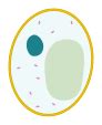 Templateother Versionssimple Cell Diagrams Wikimedia Commons