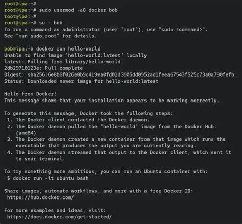 How To Install Freeipa Server With Docker On Debian 12