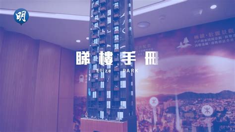 Elize Park享鄰近雙港鐵站地利｜旺角 Elize Park｜【睇樓手冊】 Youtube