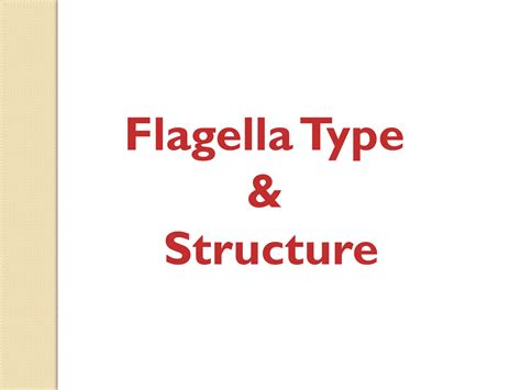 Protozoa Movement And Classes Of Protozoa Pptx