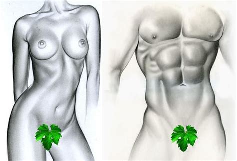 La Salud Enfermedades Tratamientos Y Consejos De Salud Sexualidad Ordenar La Vida Sexual