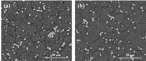 Sem Images A Qt B Dct Download Scientific Diagram