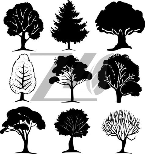 دانلود مجموعه وکتور سیاه سفید درخت دانلود رایگان فایل لایه باز، Psd، وکتور، لوگو و موکاپ
