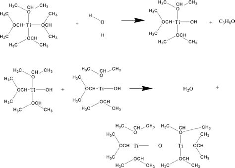 Hydrolysis And Water Condensation Reactions Of Titanium Isopropoxide Download Scientific Diagram