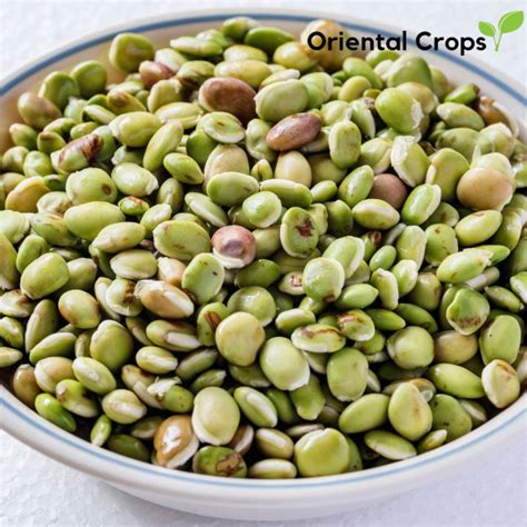 Binhi Pantanim Bataw Hyacinth Bean Vegetable Outdoor Plant Lazada Ph