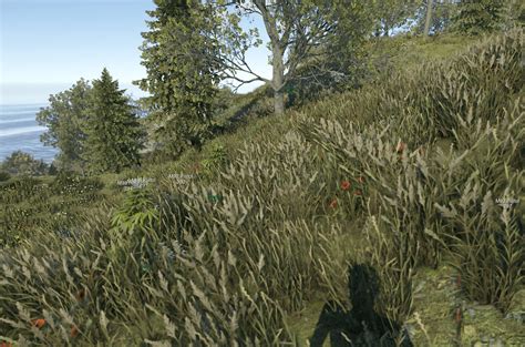 Rust Night Dma Dma Card Required Depshop