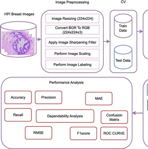 Figure 1 From A Hybrid Dependable Deep Feature Extraction And Ensemble