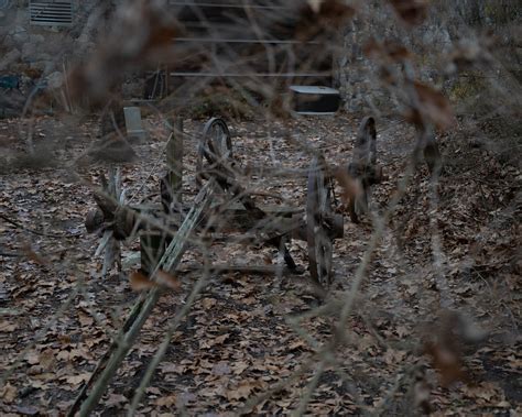숲 한가운데에 앉아 있는 부서진 자전거 사진 Unsplash의 무료 히스토릭 예이츠 밀 카운티 공원 이미지