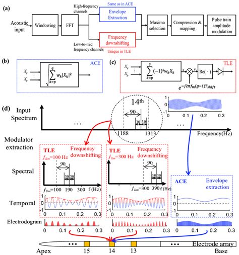 Schematic Diagrams Of Tle And Ace A Block Diagram Of The Tle Download Scientific Diagram