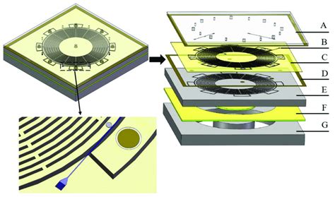 3 D Structure Of The Moems Gyroscope Download Scientific Diagram