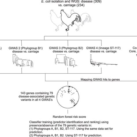 Avian Pathogenic E Coli Apec Gwas And Risk Prediction Genome Wide Download Scientific