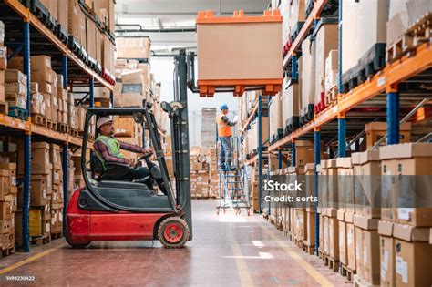 공장 창고에서 지게차 스태커 로더로 골판지 상자를 운전하고 적재하는 제복을 입은 작업자 창고에 대한 스톡 사진 및 기타 이미지 창고 지게차 화물 운송 Istock