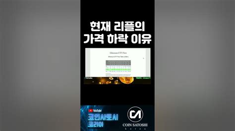 현재 리플의 가격 하락 이유 코인 코인뉴스 시바이누코인 리플 비트코인 코인추천 경제적자유 코린이 코인투자