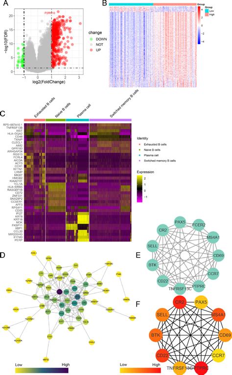 Infiltrating B Cell Subtypes And Associated Hub Genes In Nasopharyngeal