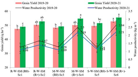 Sustainability Free Full Text Sustainable Intensification Of Cropping Systems Under