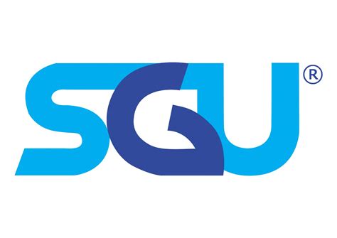 Ieee Pdf Express Guideline Icocics