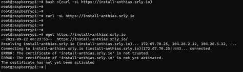 Anthias Installation Doesnt Start On Raspbian Anthias Anthias Forum