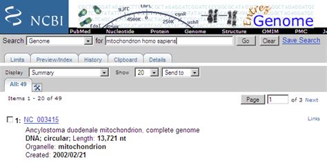 Exploring A Nucleotide Sequence Using Command Line MATLAB Simulink