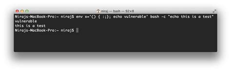 New Vulnerability Found In Bash And How To Test Web Niraj