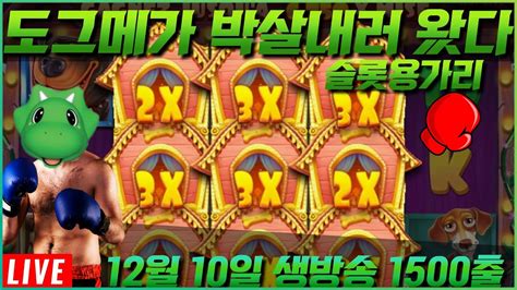 슬롯 실시간 슬롯 용가리 12월10일 생방송 1500출 슬롯 슬롯머신 슬롯실시간 Youtube