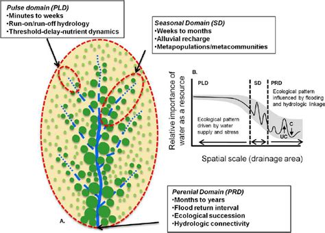 A Representation Of Longitudinal Patterns And Scaling Domains Download Scientific Diagram
